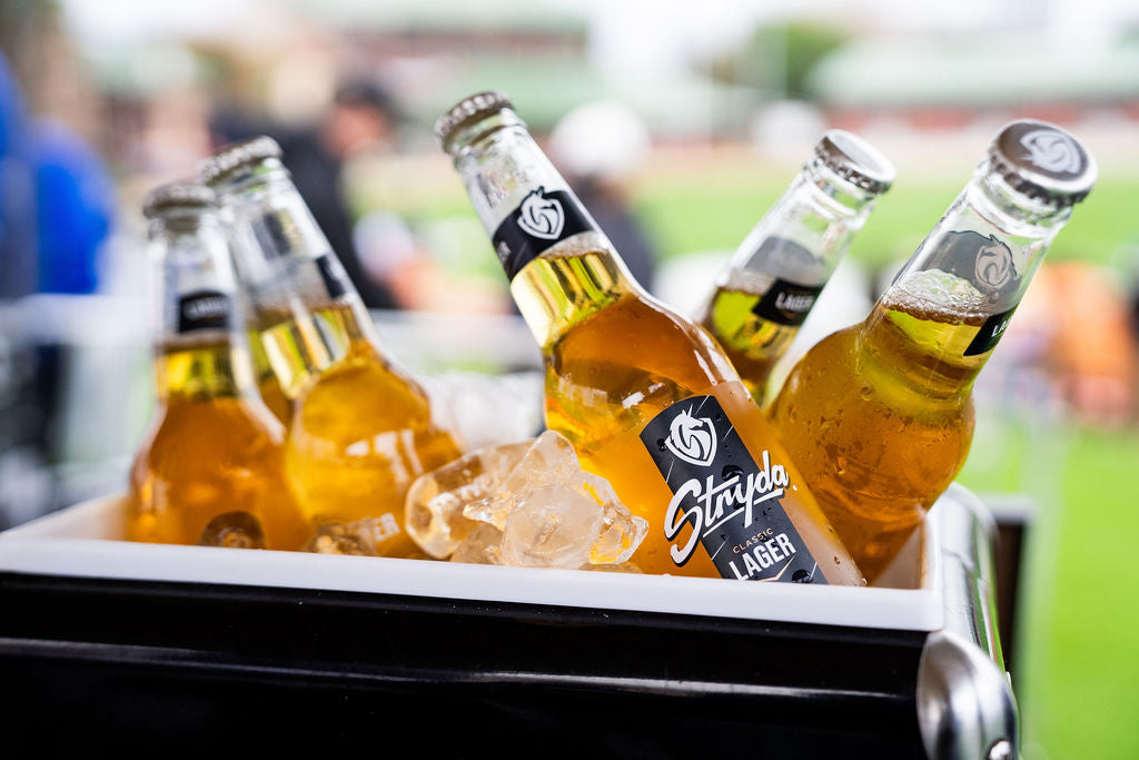 Beer and Bloating: Exploring the Factors and Solutions – Stryda AU