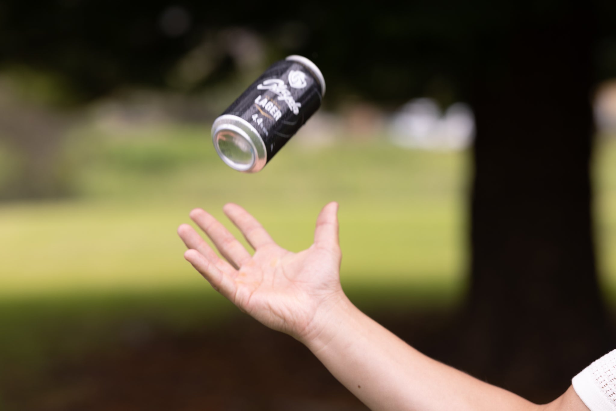 The Art of Balance in Beer: Creating an Enjoyable Drinking Experience ...